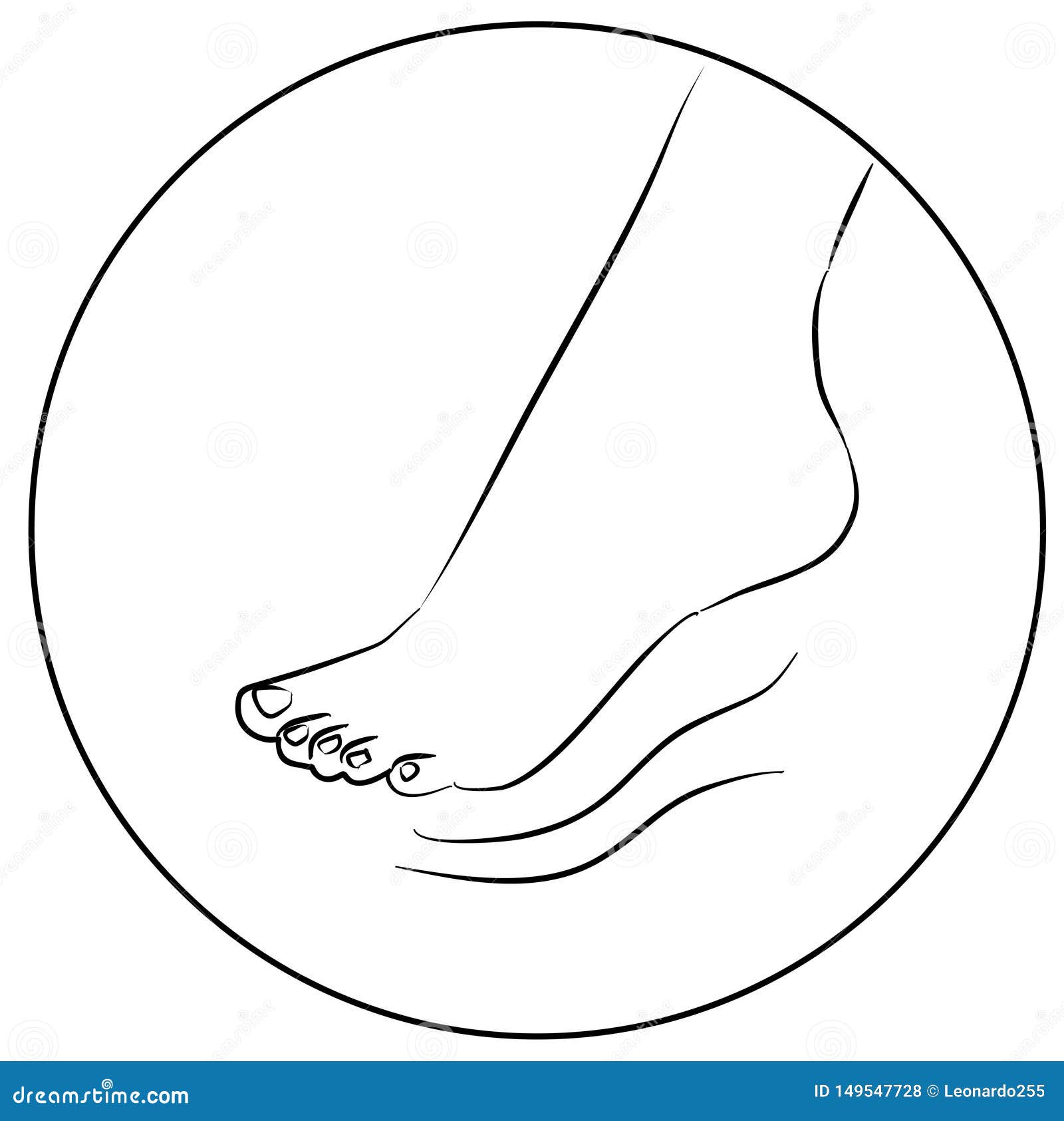 Man Foot Drawing Cartoon, Shoe Size Foot Anatomy Human Sole Vector ...