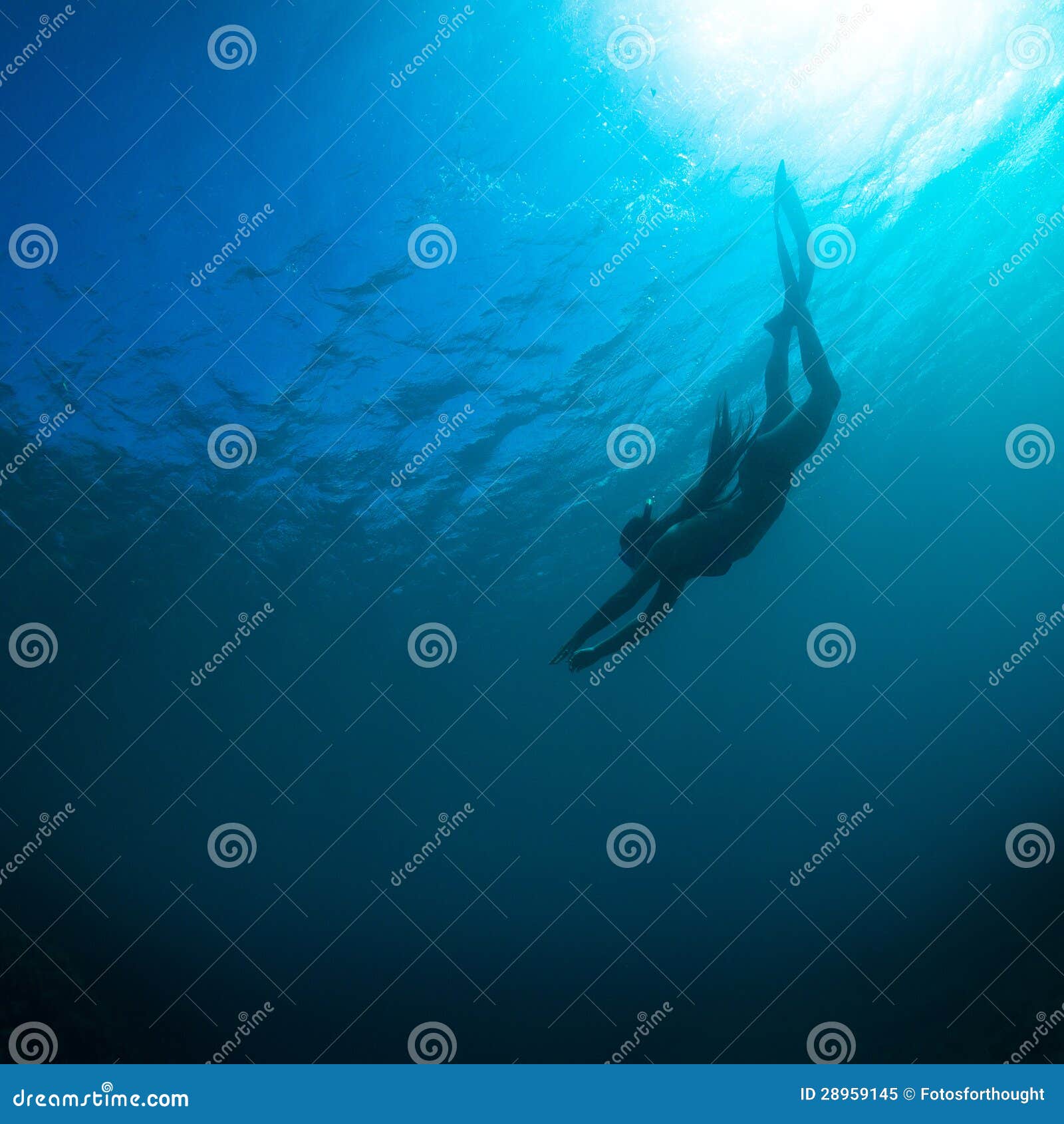 Women free diving stock image. Image of aquatic, freediving - 28959145