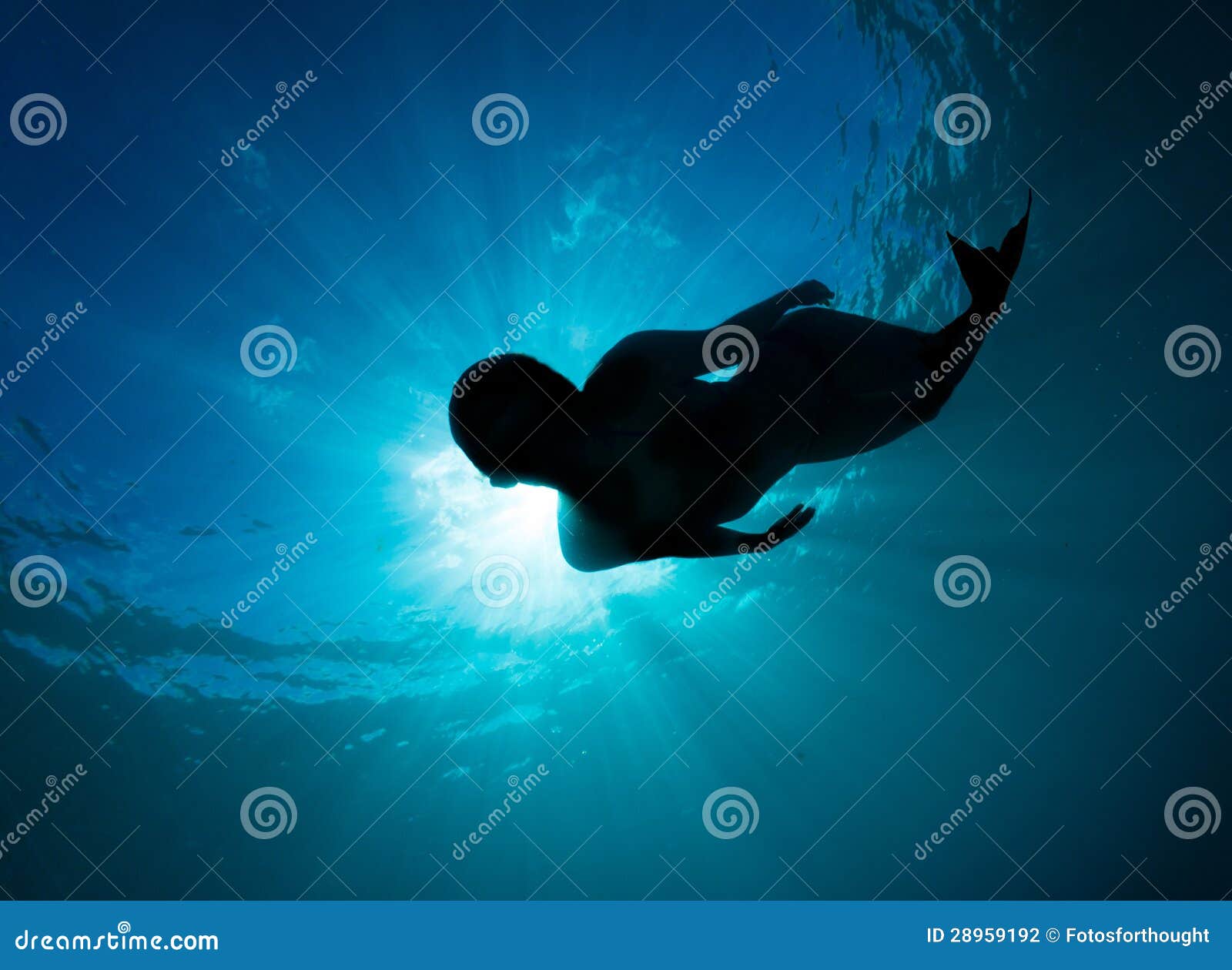 Women free diving stock photo. Image of breathhold, freediving - 28959192