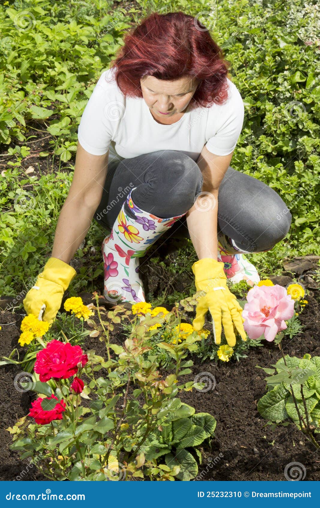 Women Gardener Arranging Flowers Stock Photo - Image of female, flower ...
