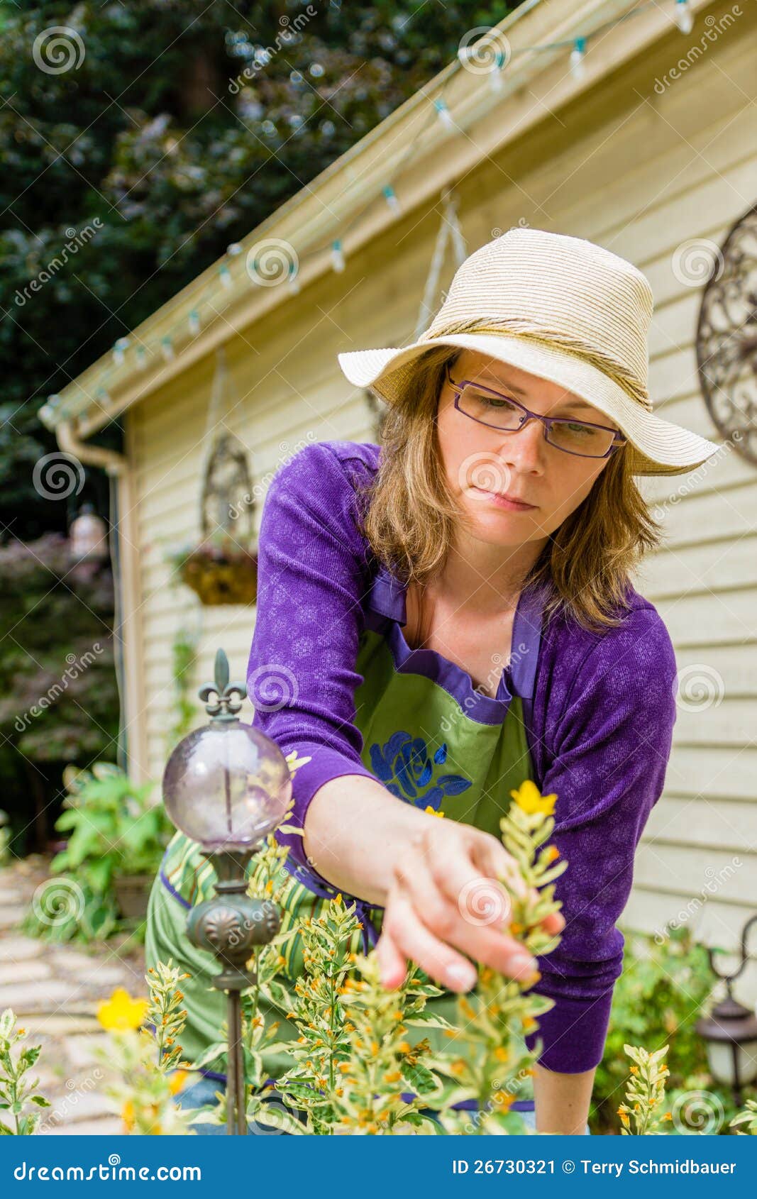 Women Gardening in Backyard Stock Image - Image of nature, backyard ...