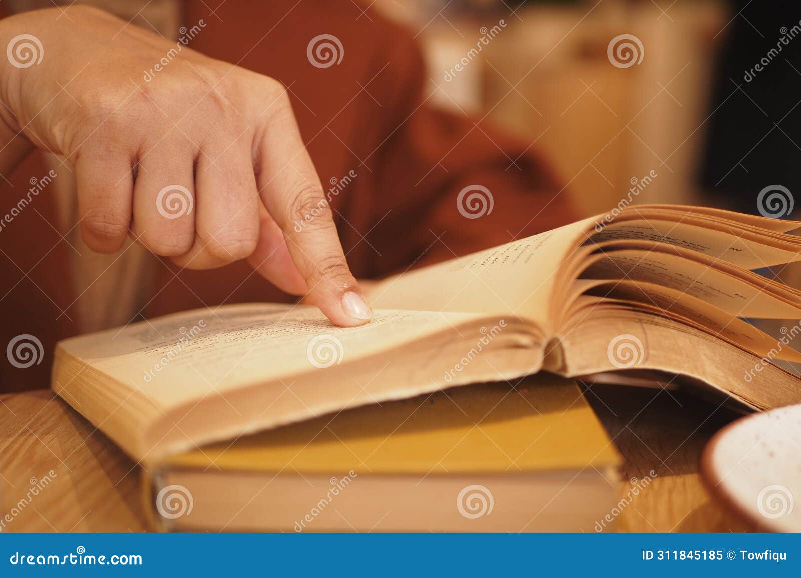 Women Hand Holding a Book at Library Stock Image - Image of paper ...