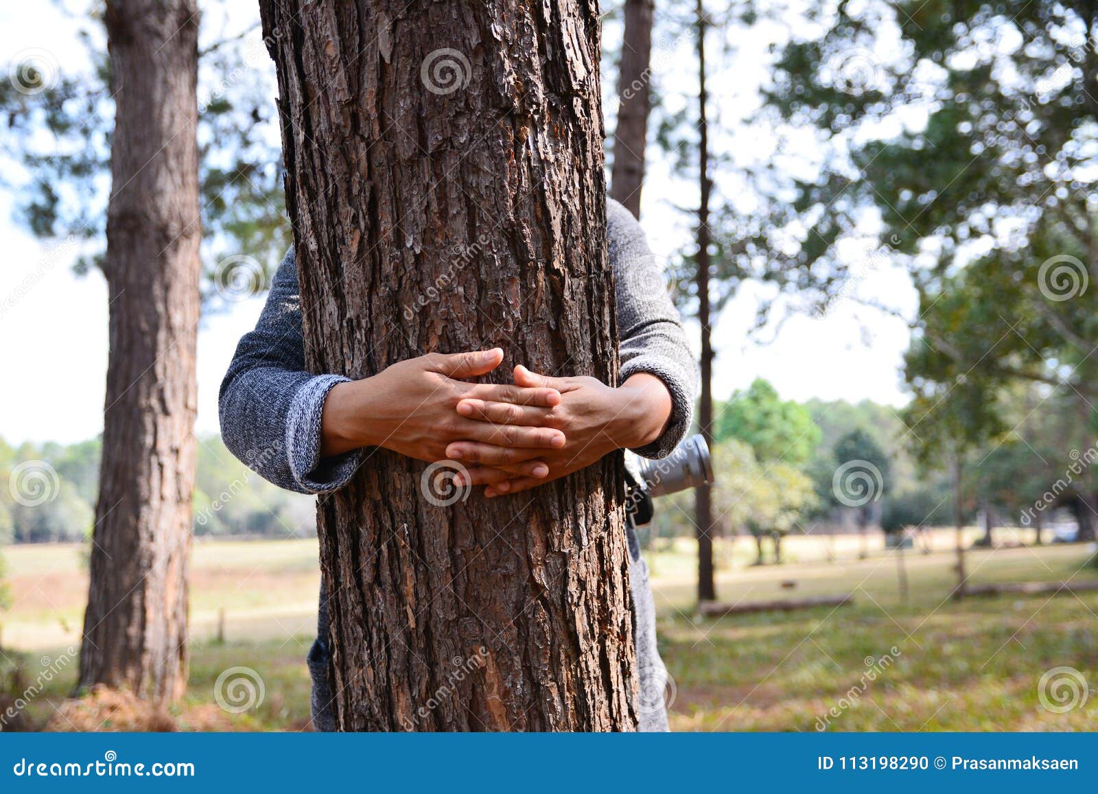 Women hand Hug tree stock photo. Image of love, environmentally - 113198290