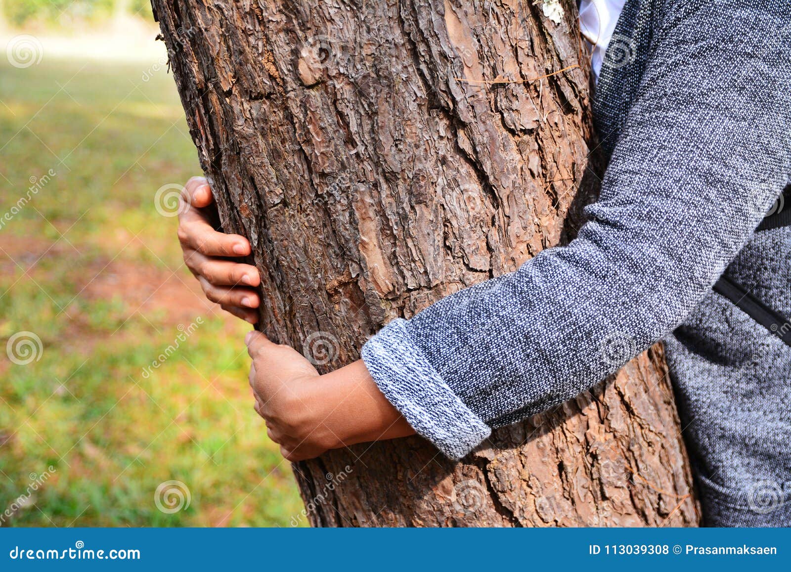 Women hand Hug tree stock photo. Image of female, hugger - 113039308