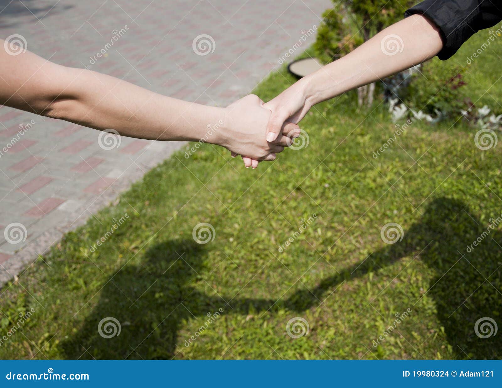 Women hand shake stock photo. Image of hand, businesspeople - 19980324