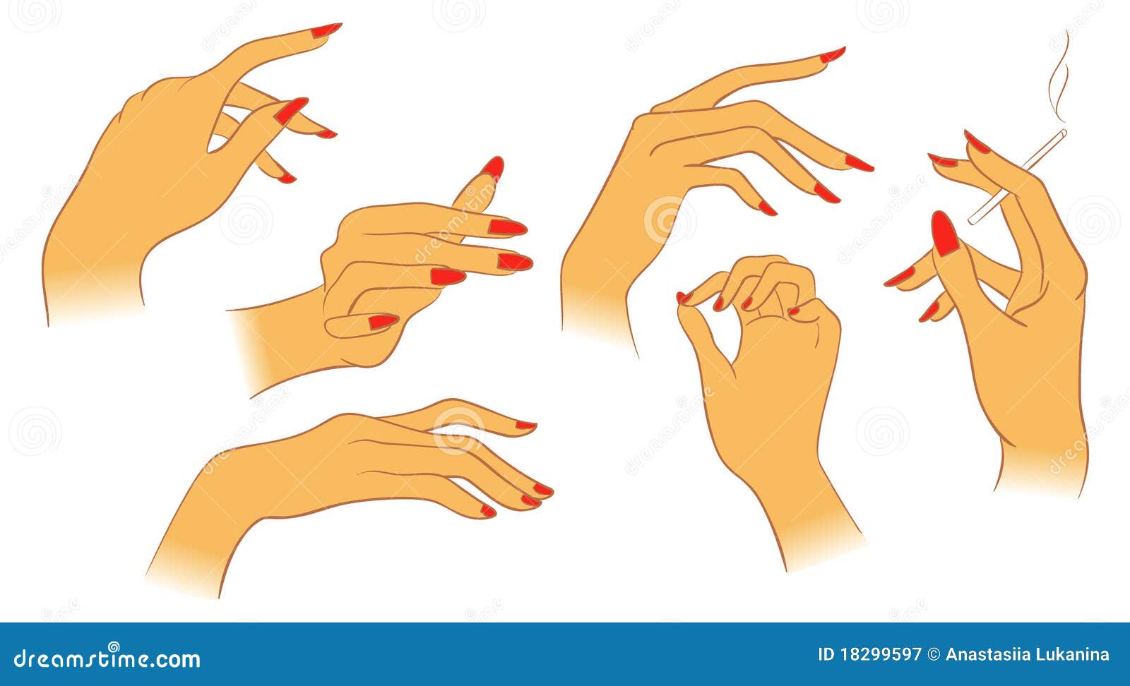 Women hands stock vector. Illustration of girl, harmony - 18299597