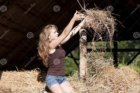 Women and hay stock photo. Image of field, happiness - 25933586