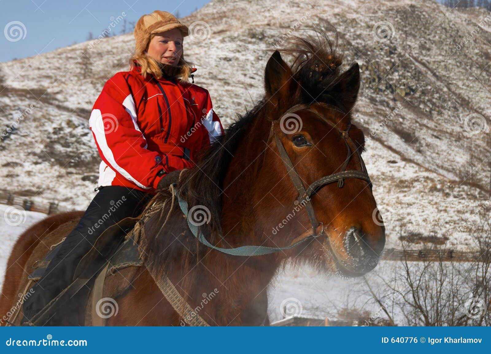 Women on horseback. stock photo. Image of winter, nature - 640776