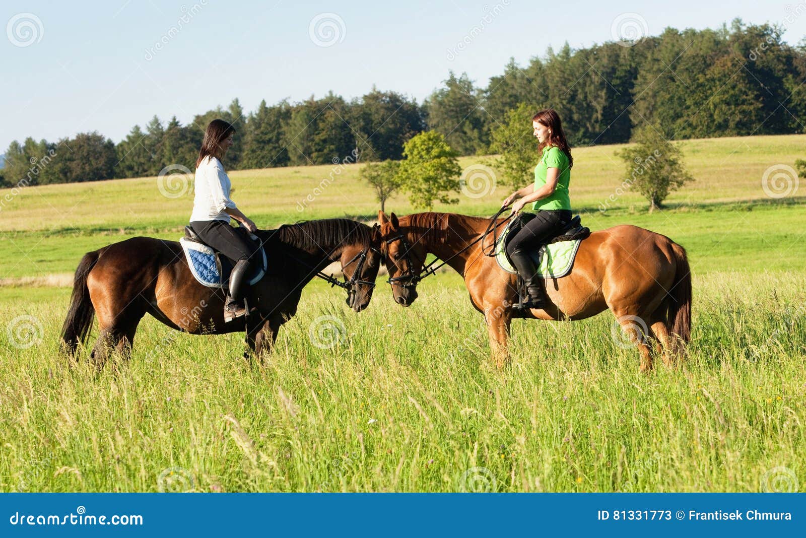 Women Horseback Riding in a Landscape Stock Image - Image of people ...