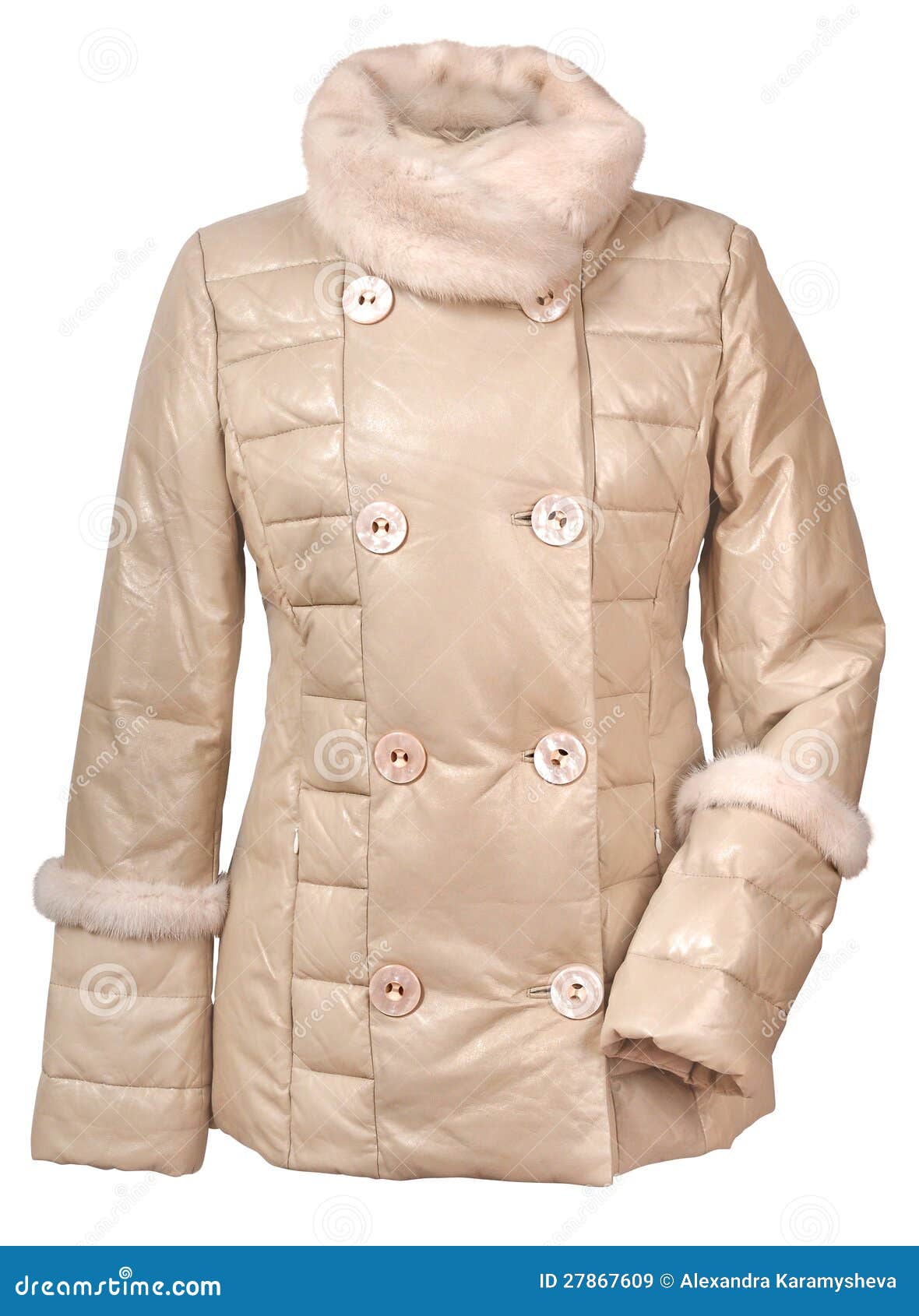 Women jacket stock image. Image of clothing, bright, garment - 27867609