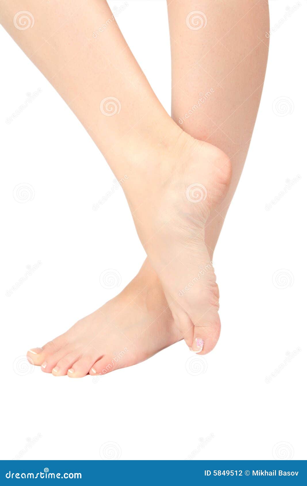 Women leg stock photo. Image of nature, beauty, female - 5849512