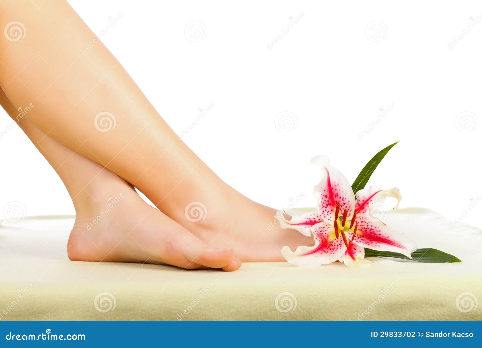 Legs Relaxing stock photo. Image of feet, body, wellness - 29833702
