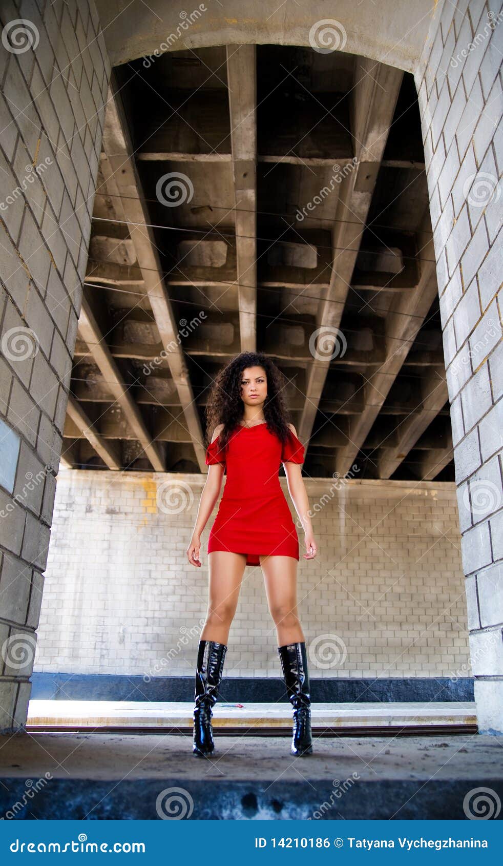 Women Near the Brick Masonry Wall Stock Photo - Image of brick, female ...