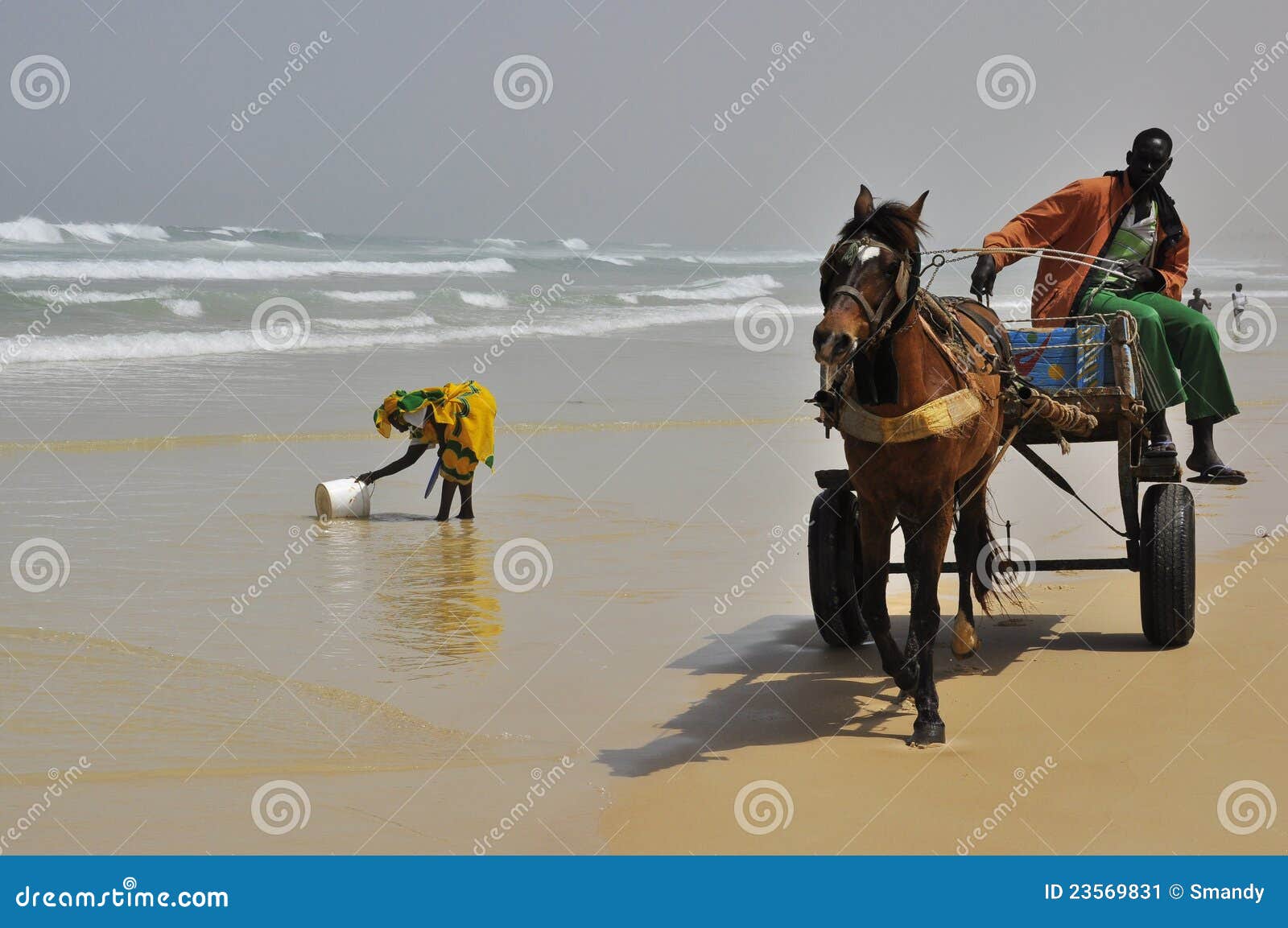 Women at the Ocean and Horse Driven Chariot Editorial Photo - Image of ...