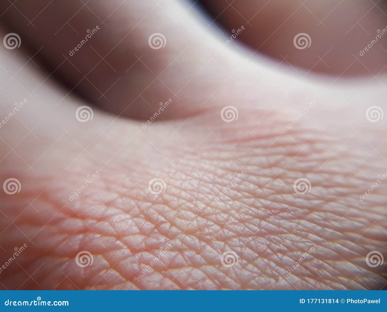 Women person skin macro stock photo. Image of person - 177131814 Women person skin macro stock photo. Image of person - 177131814