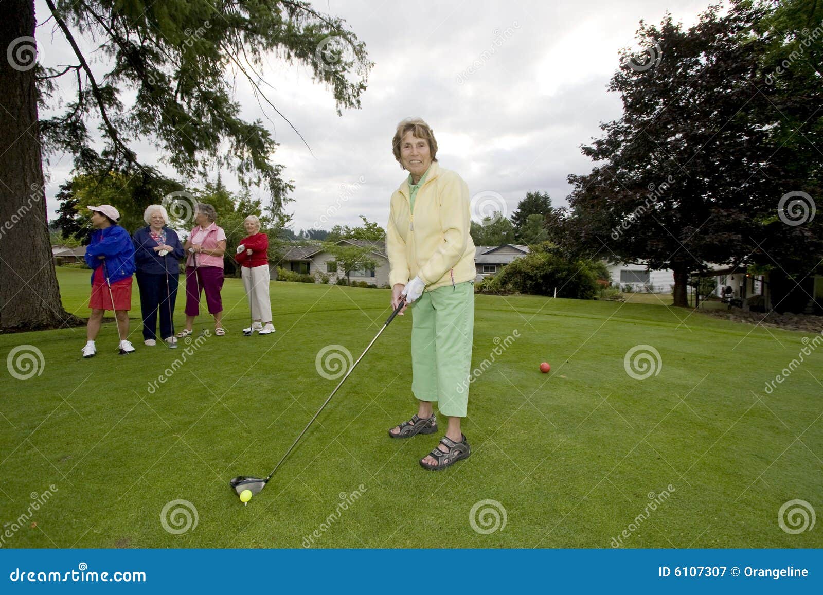 Women Playing Golf stock image. Image of female, golfer - 6107307