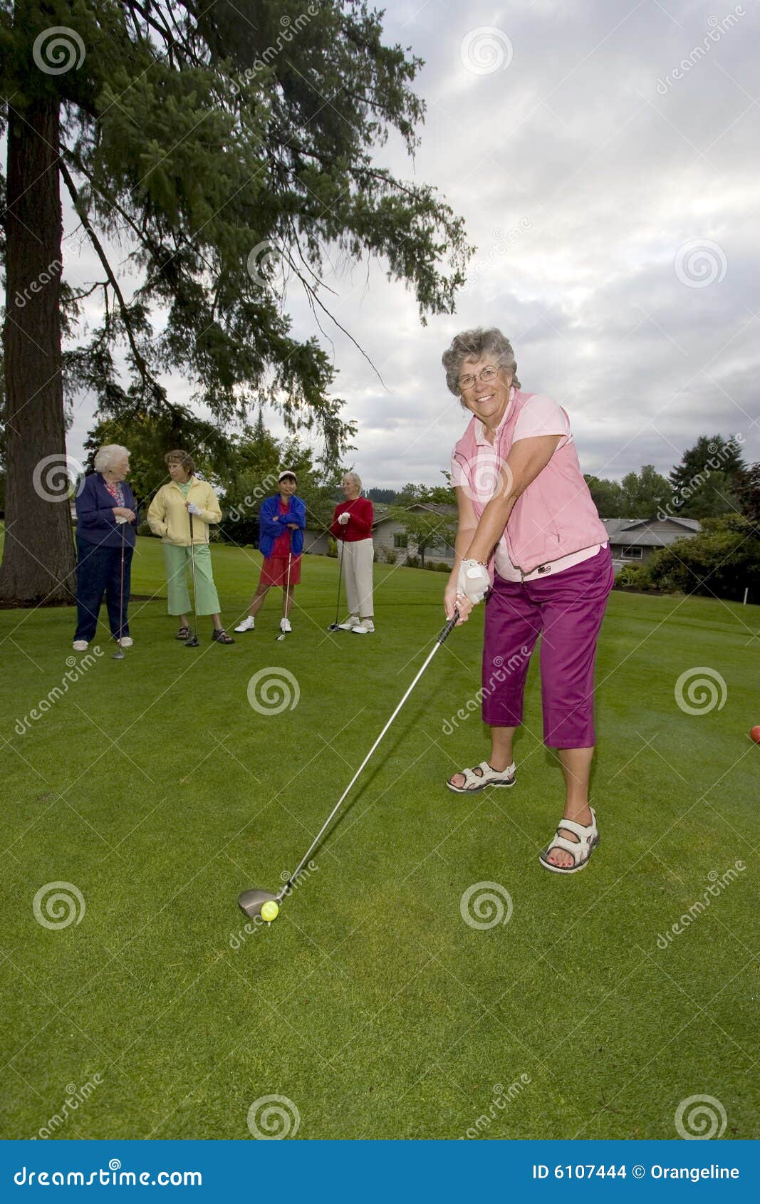 Women Playing Golf stock photo. Image of female, retired - 6107444