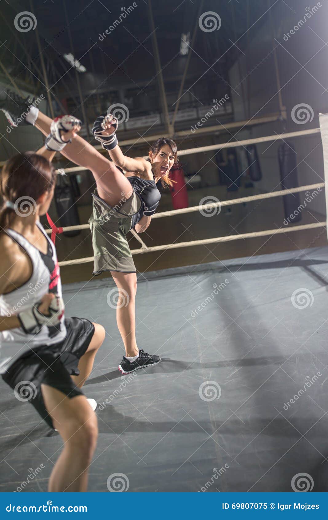 Women Practicing Body Combat Attack Stock Image - Image of danger ...