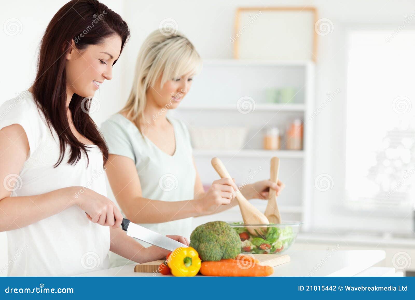 Women preparing dinner stock photo. Image of life, prepare - 21015442