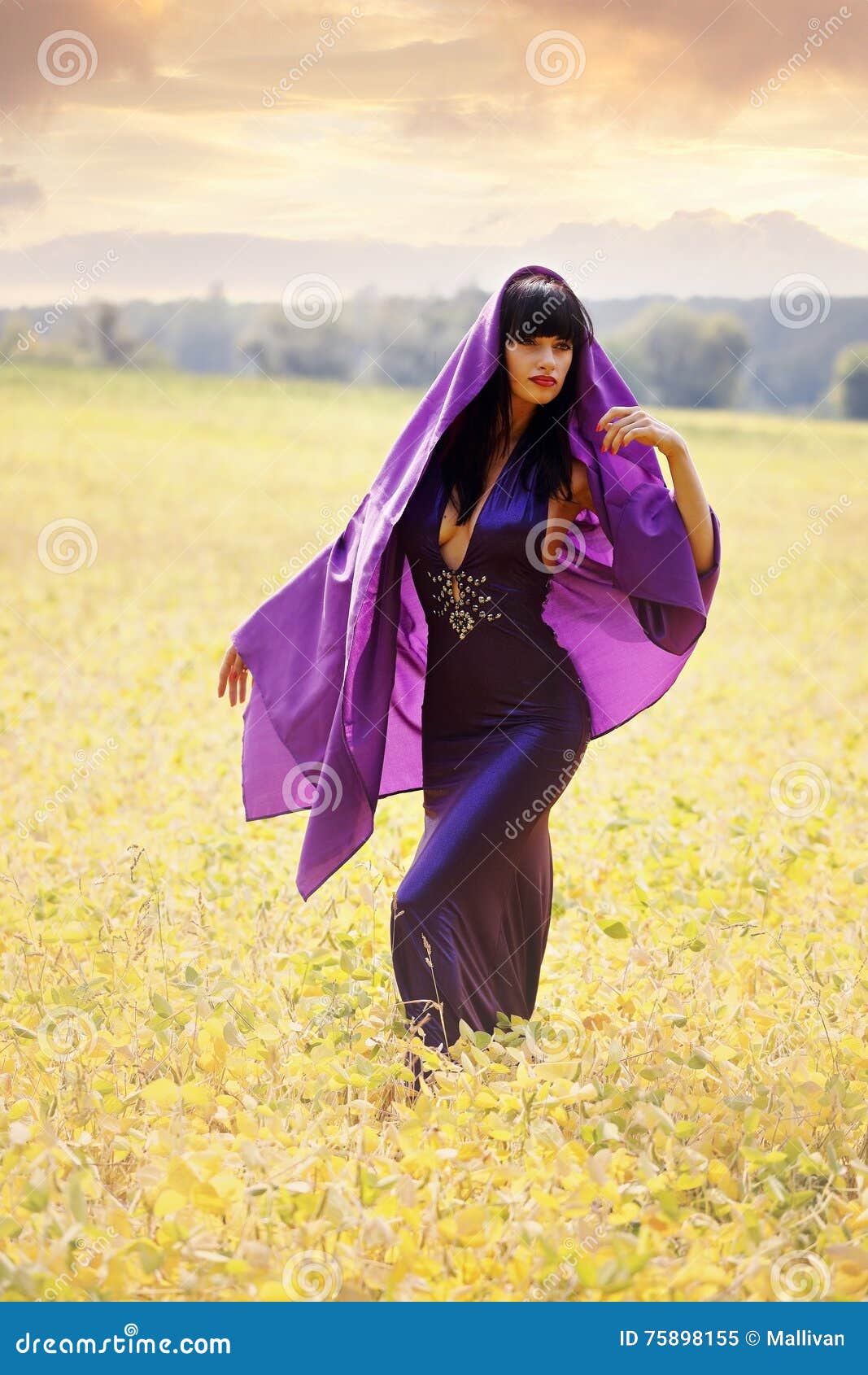 Women in a purple cloak stock image. Image of adult, glamour - 75898155