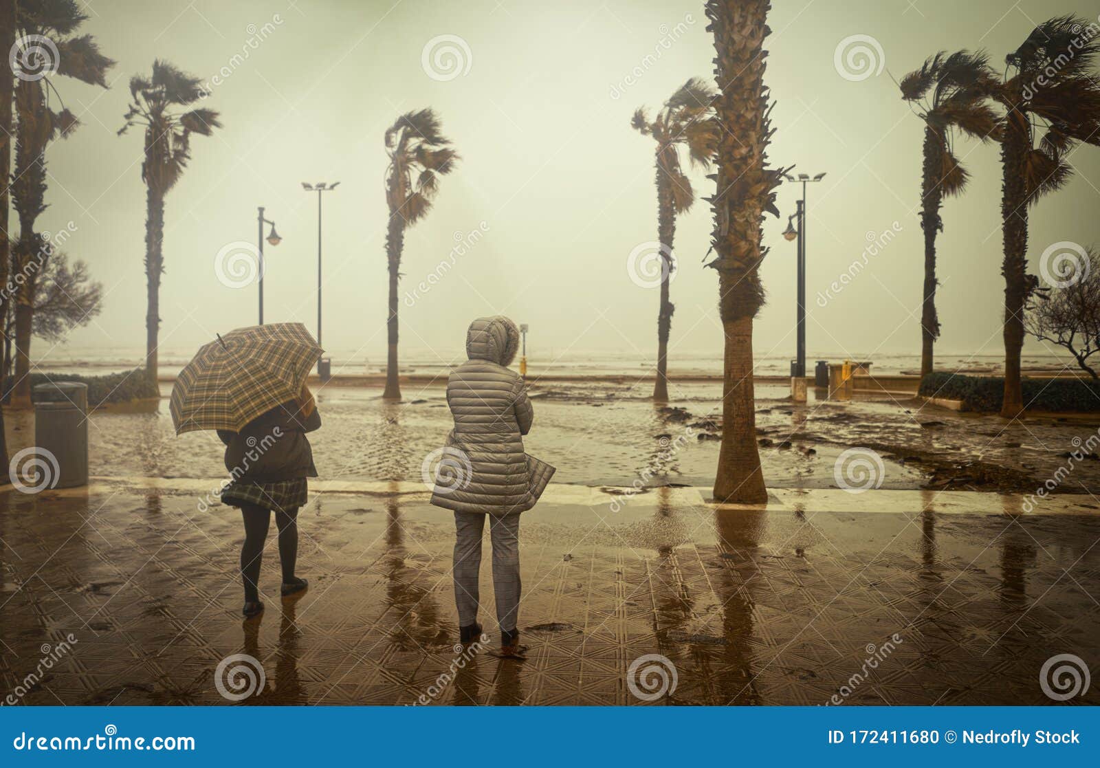 Women in the Rain Watching the Storm Stock Photo - Image of lady ...