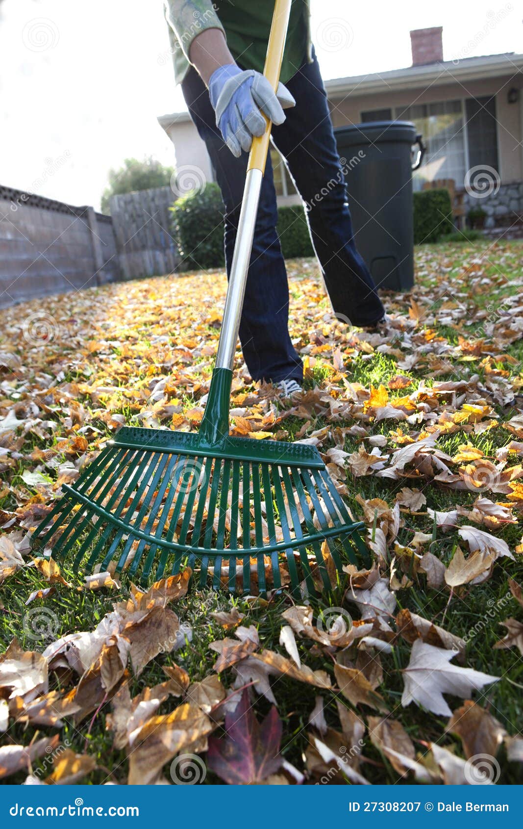 Women Raking Leaves stock image. Image of trash, fall - 27308207