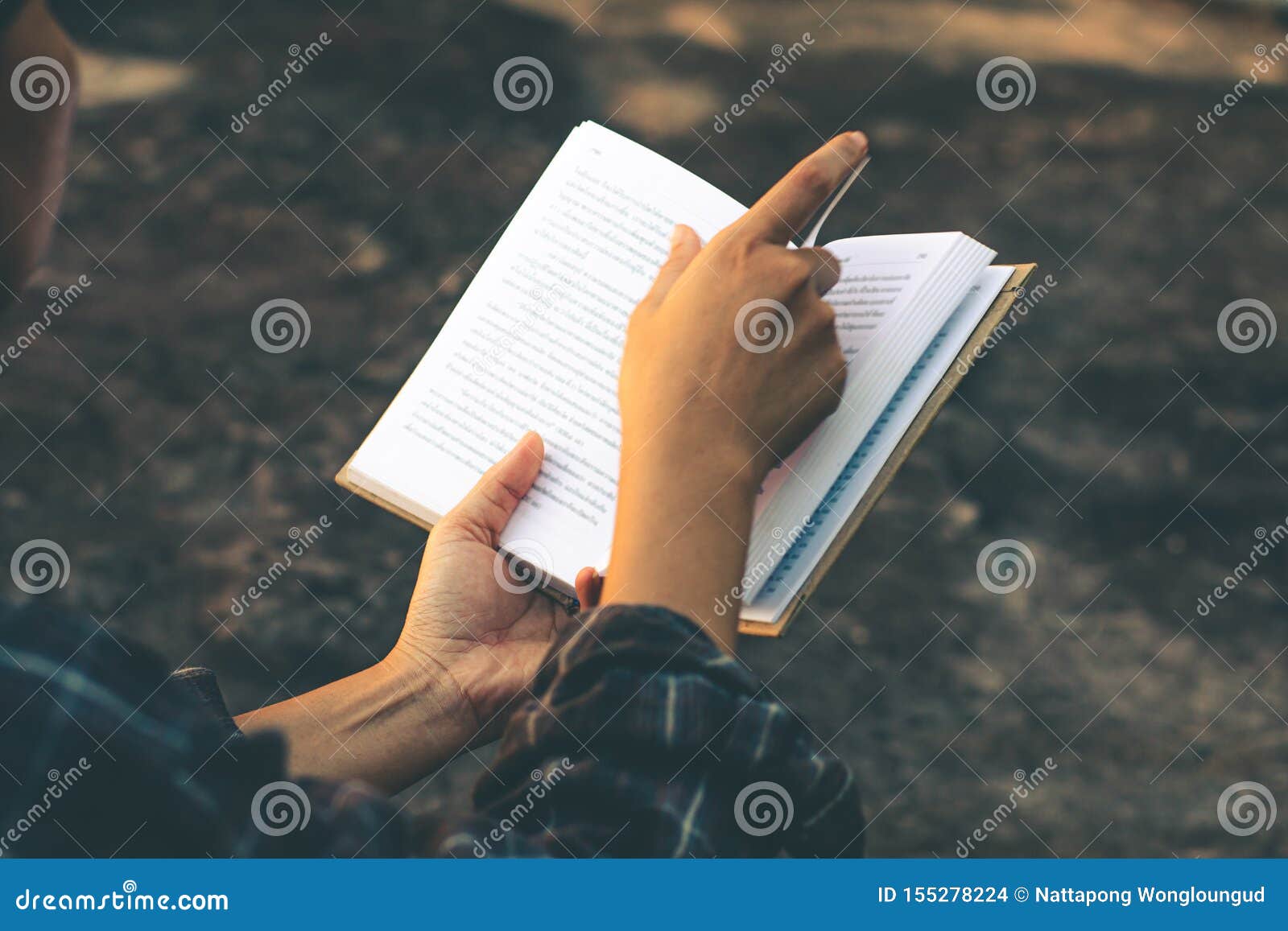 Women Read Books in Quiet Nature, Concept Read a Books Stock Photo ...