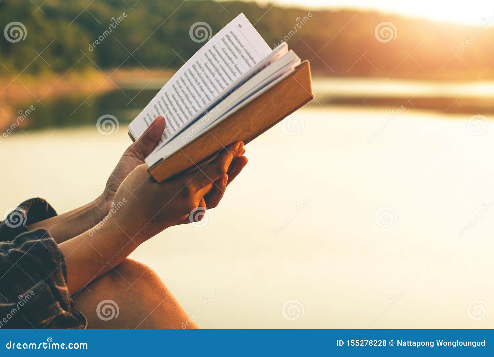 Women Read Books in Quiet Nature, Concept Read a Books Stock Photo ...
