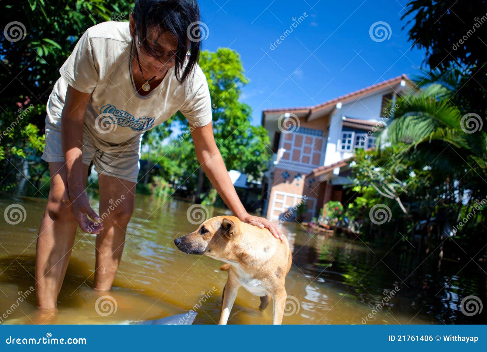 Women Rescue Dog from Flood Editorial Photo - Image of action, movement ...
