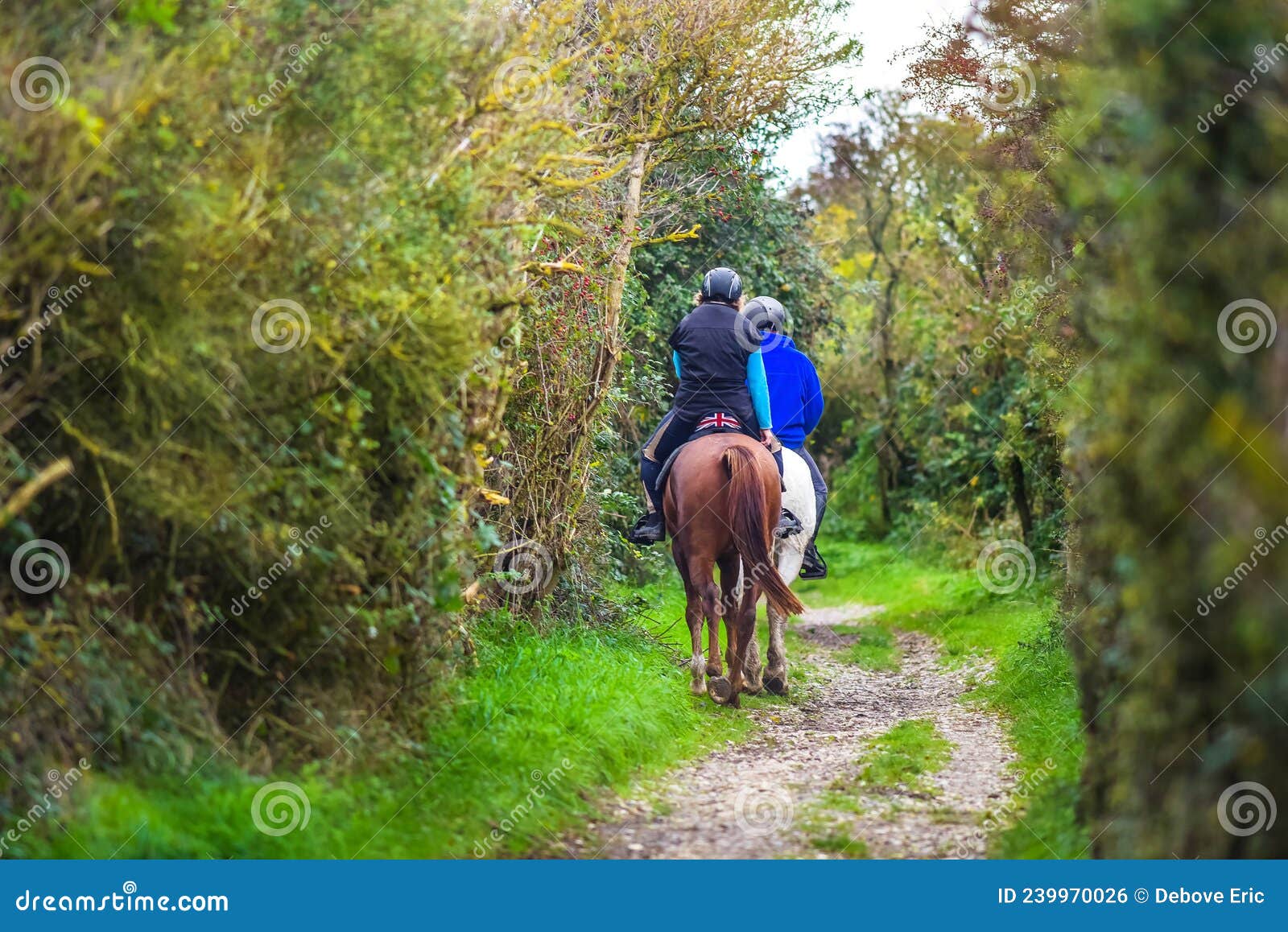 Riders and Their Horses Walking in the Paths in Spring Stock Photo ...