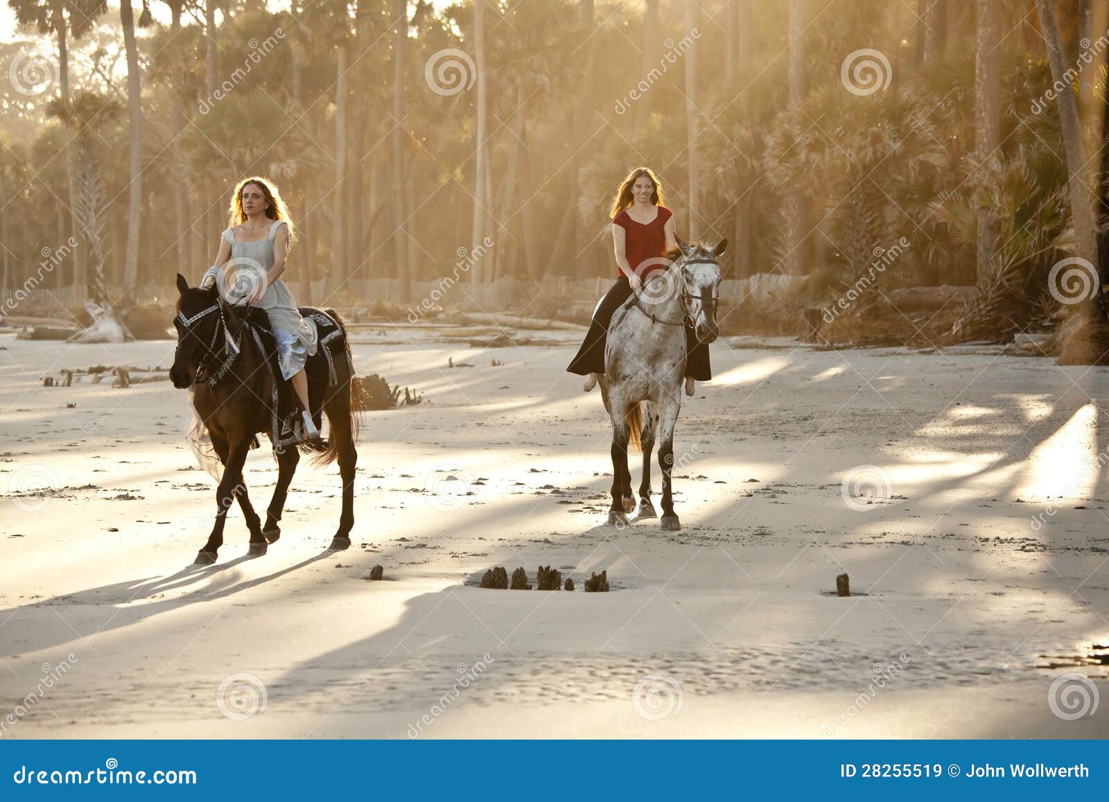 Women Riding Horses on the Beach Stock Image - Image of activity, dream ...