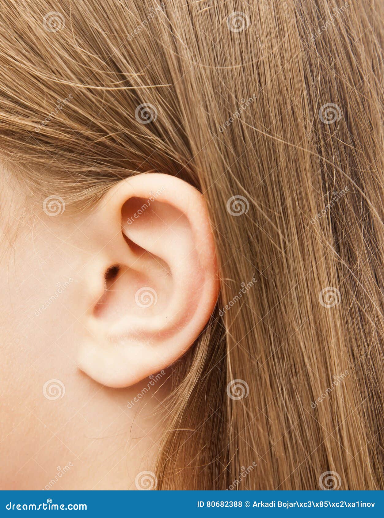 Women`s ear stock photo. Image of hearing, woman, soft - 80682388