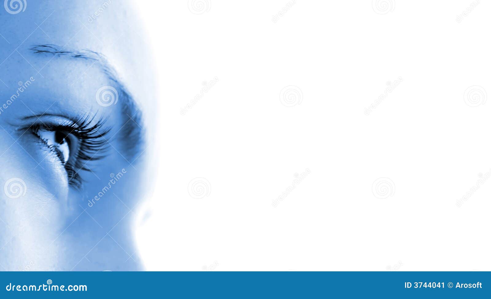 Women S Eye - Looking Forward.Isolated on White. Stock Image - Image of ...