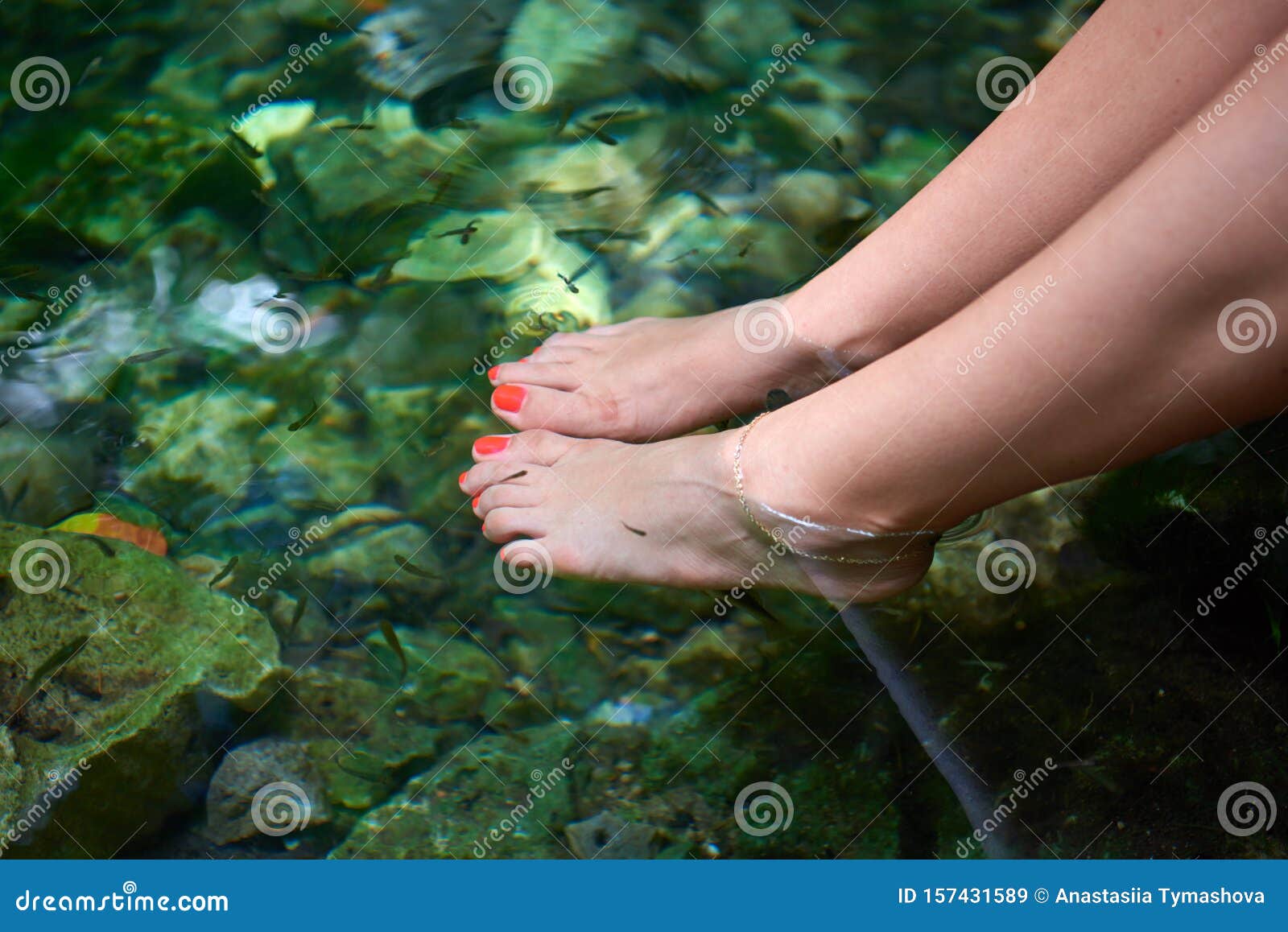 Women`s Feet in the Water with Fish Stock Image - Image of manicure ...