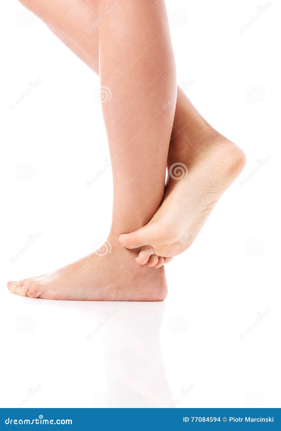 Women S Feet on White Background. Stock Photo - Image of human, fresh ...