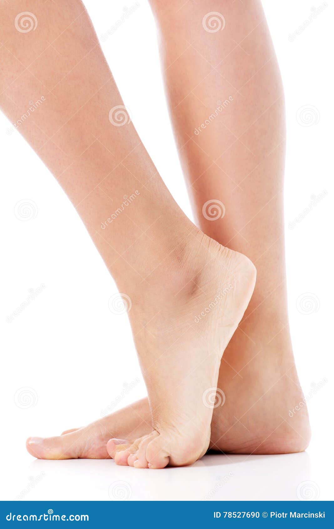 Women S Feet on White Background. Stock Photo - Image of beauty, lady ...