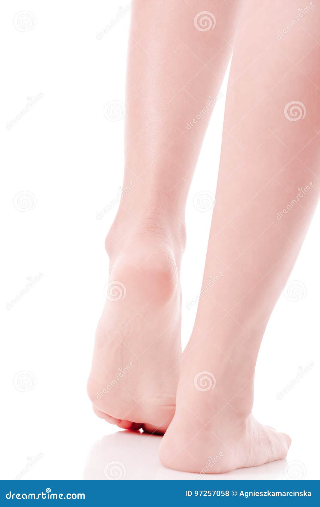 Women`s Feet on White Background. Stock Photo - Image of foot, care ...