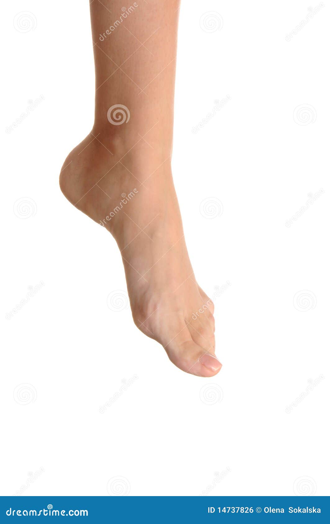 Women s foot stock photo. Image of foot, care, females - 14737826