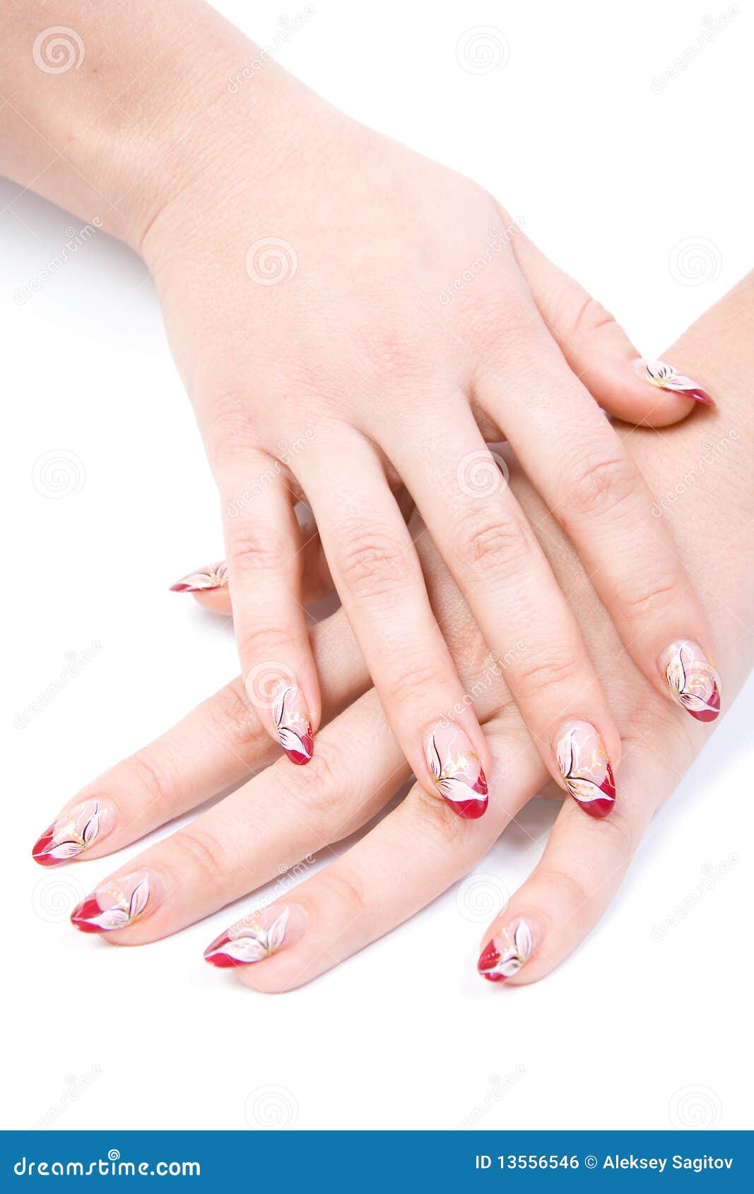 Women s hands stock photo. Image of fashion, background - 13556546