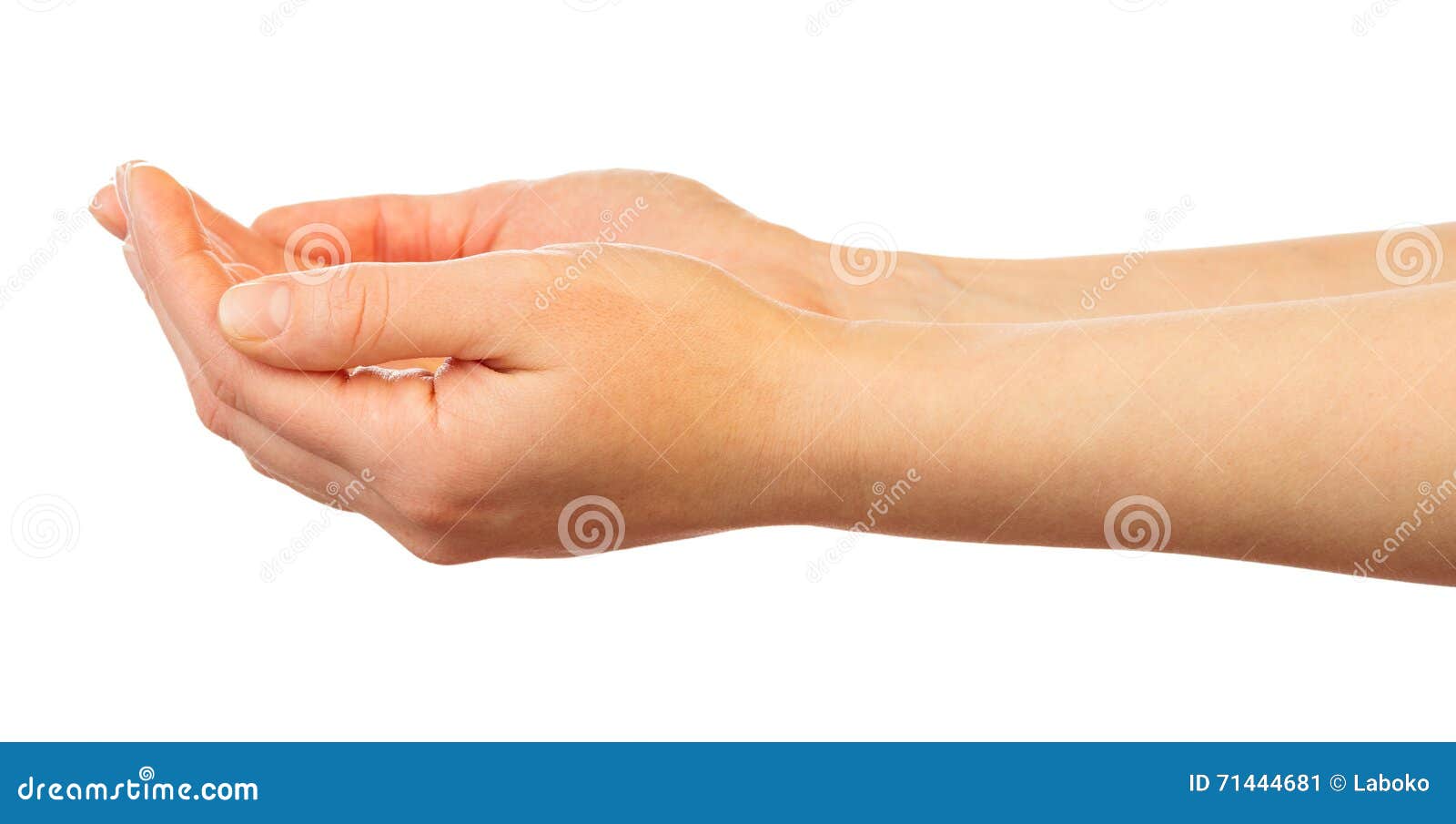 Women S Hands are Folded in a Handful Isolated Stock Image - Image of ...