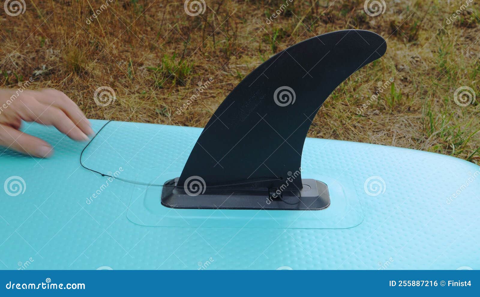 Women`s Hands Insert the Fin from the SUP Board Preparation for ...