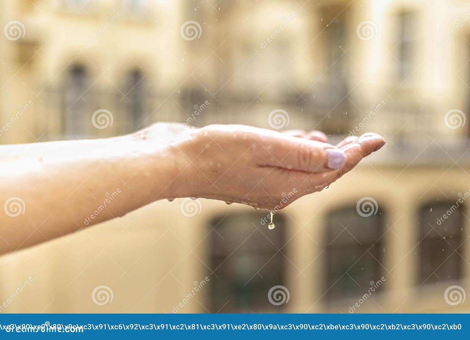 Women`s Hands in the Rain, Raindrops Fall into Their Hands, Catch Stock ...