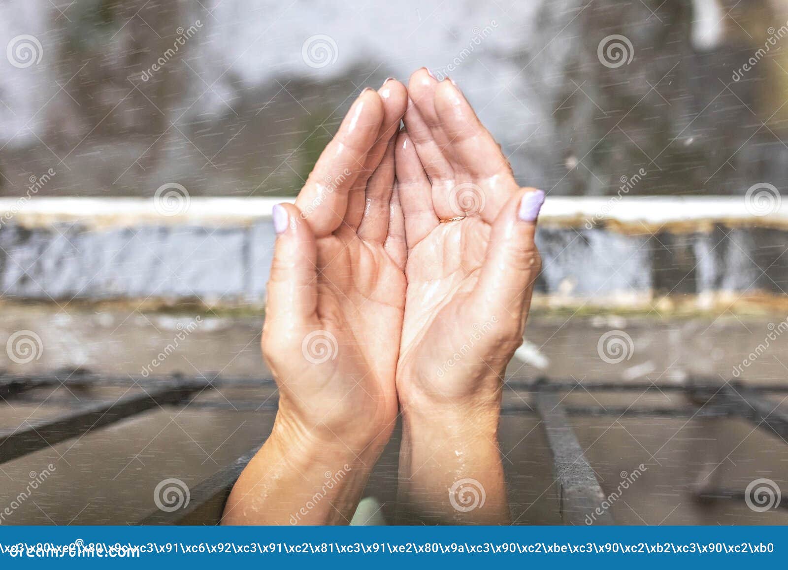Women`s Hands in the Rain, Raindrops Fall into Their Hands, Catch Stock ...