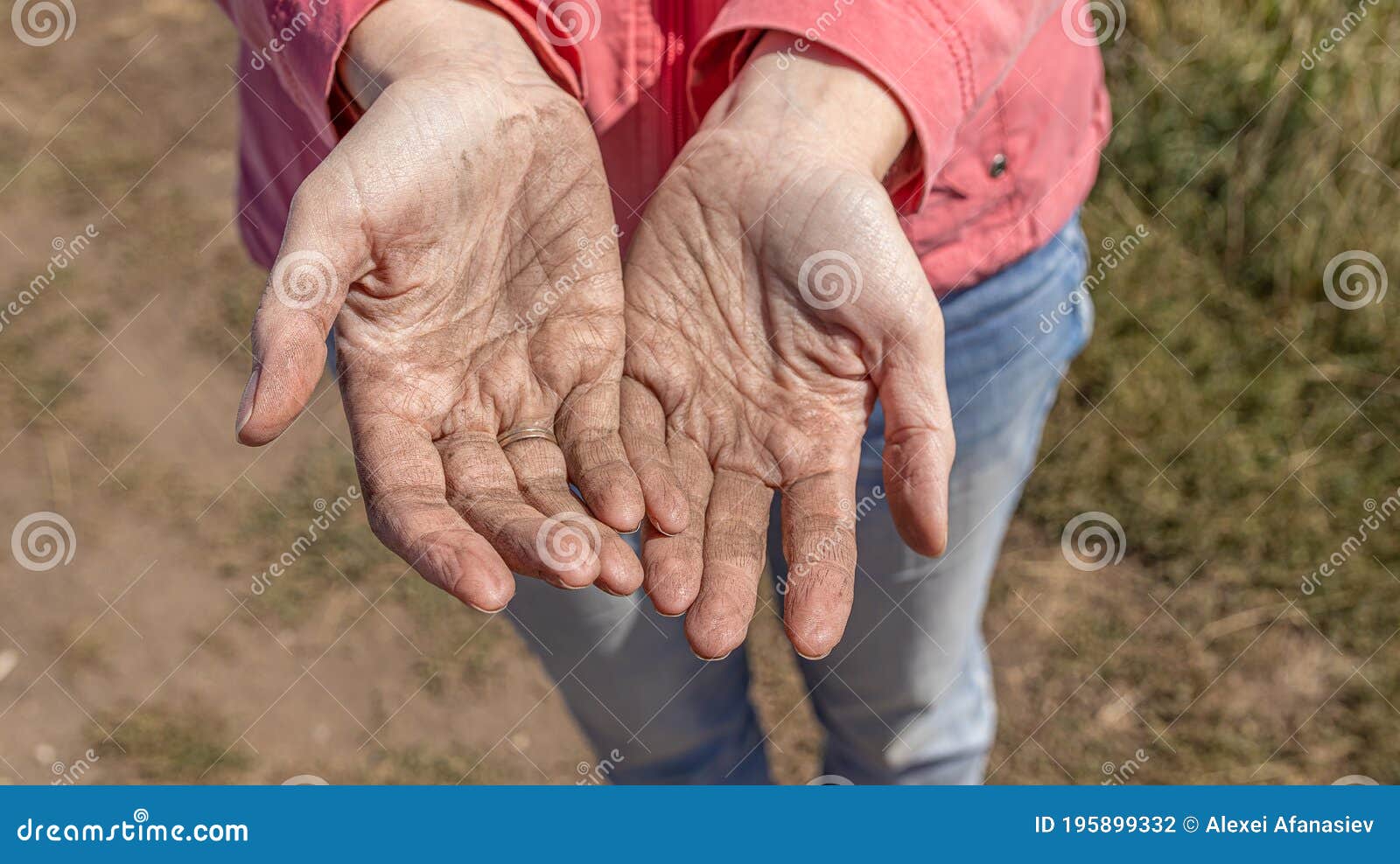 Women`s Hands are Stained with the Dust of the Earth. Close Up Stock ...