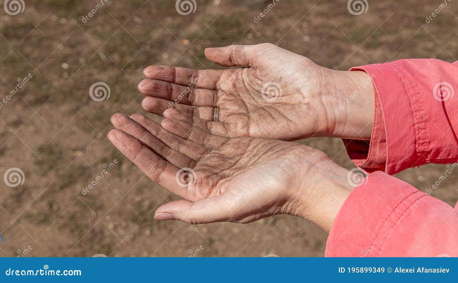 Women`s Hands are Stained with the Dust of the Earth. Close Up Stock ...
