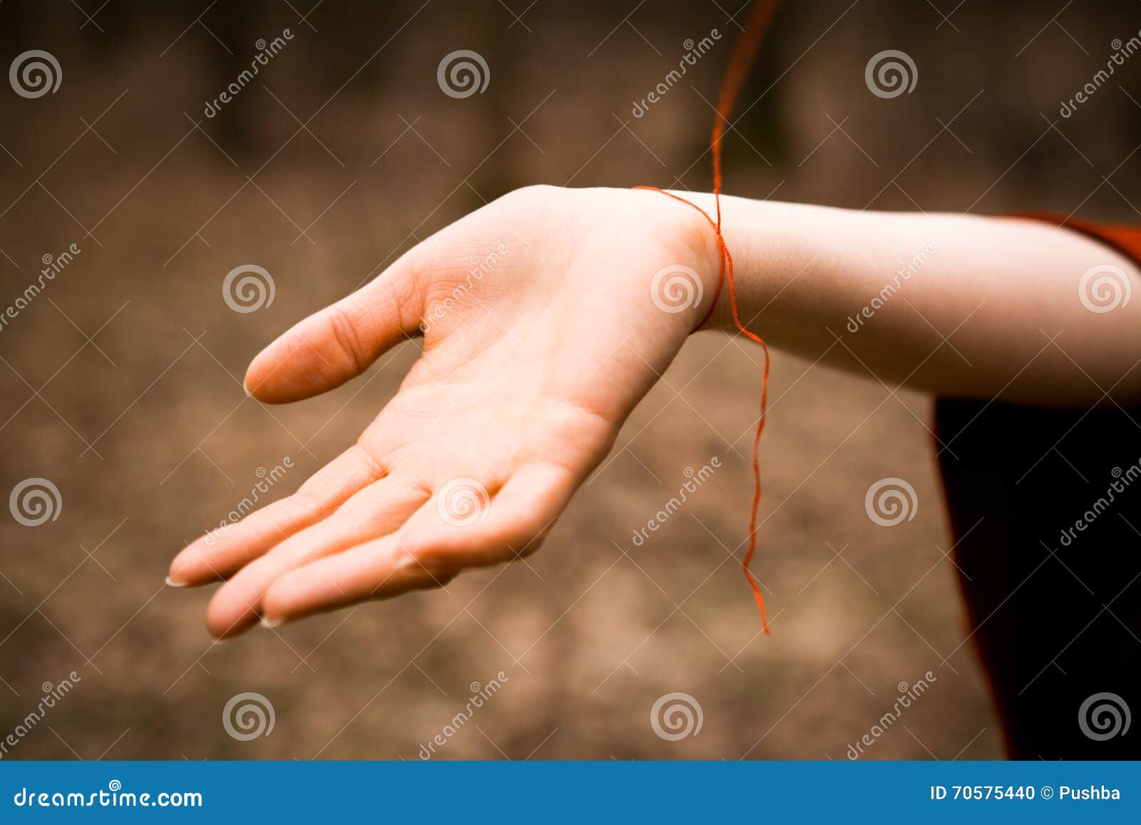 Women S Hands Tied with Thread Stock Photo - Image of catch, aggression ...