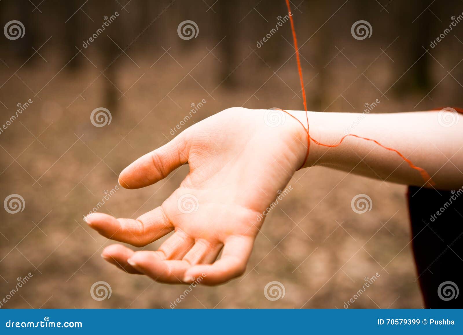 Women S Hands Tied with Thread Stock Image - Image of women, hard: 70579399