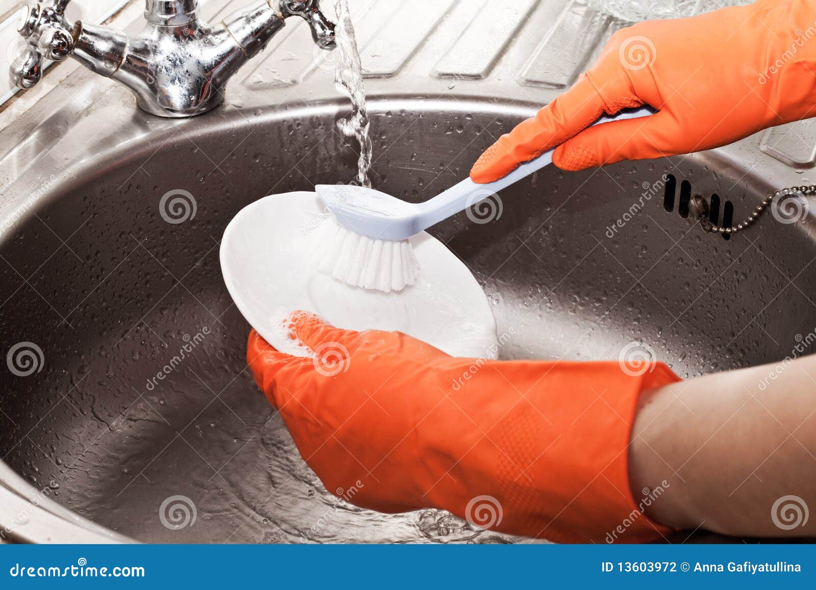 Women S Hands Wash the Brush Plate Stock Photo - Image of washing ...