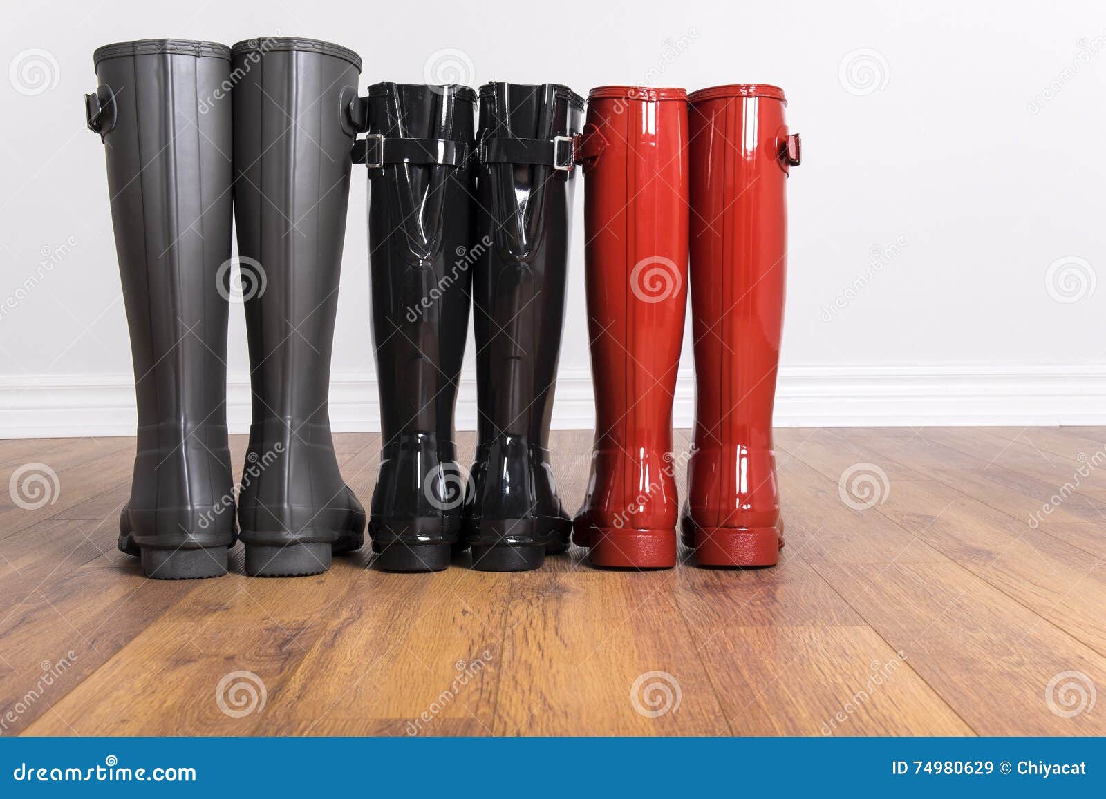 Women S and Men S Rubber Boots #1 Stock Image - Image of tall, three ...