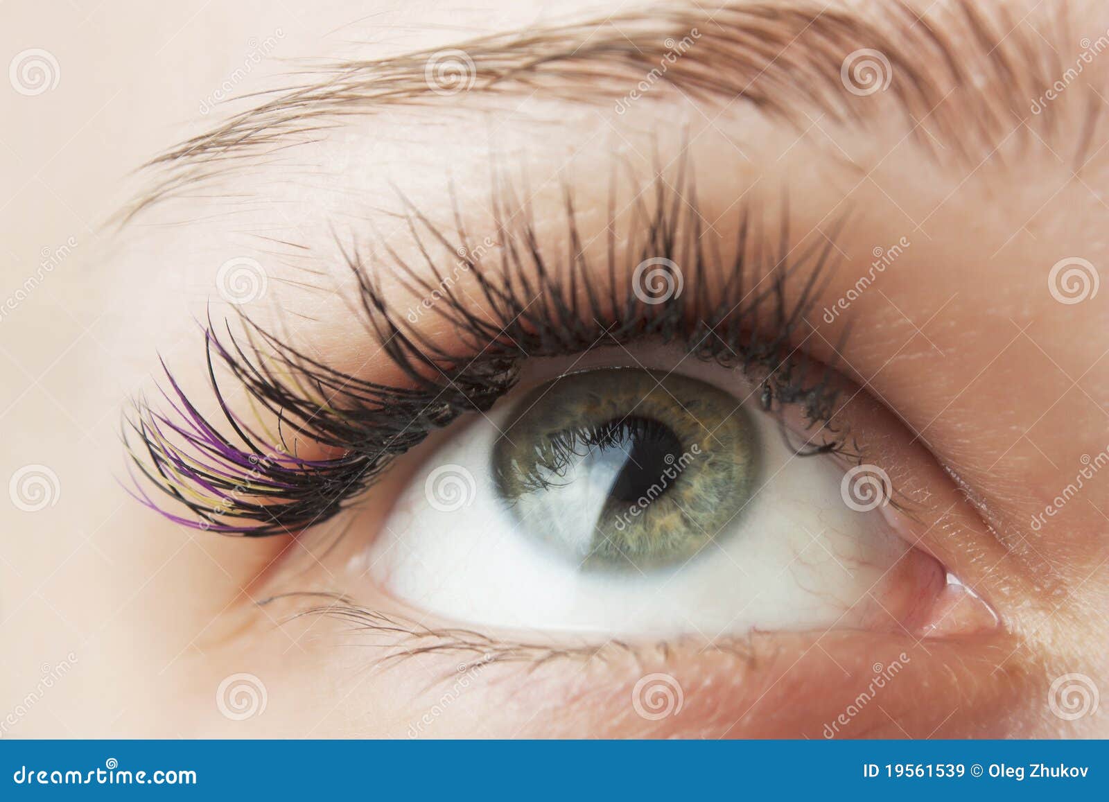 Women s Open eyes stock image. Image of mascara, eyeball - 19561539